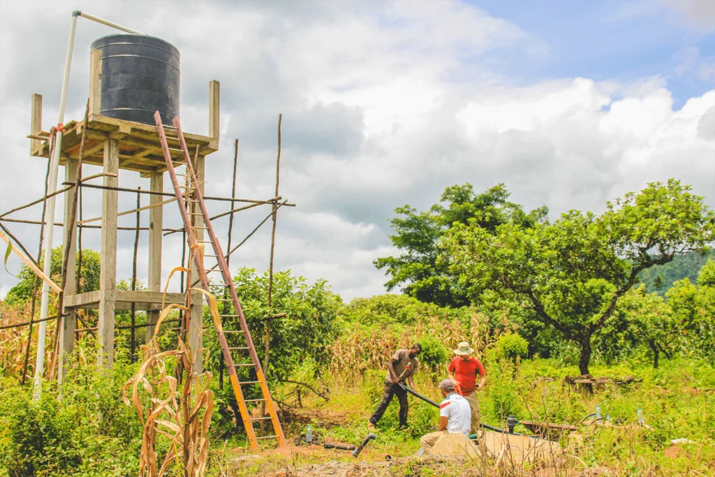 Our Story - Mama Africa